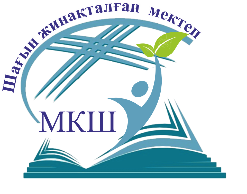 ШЖМ оқыту әдістемесі | LMS Orleu